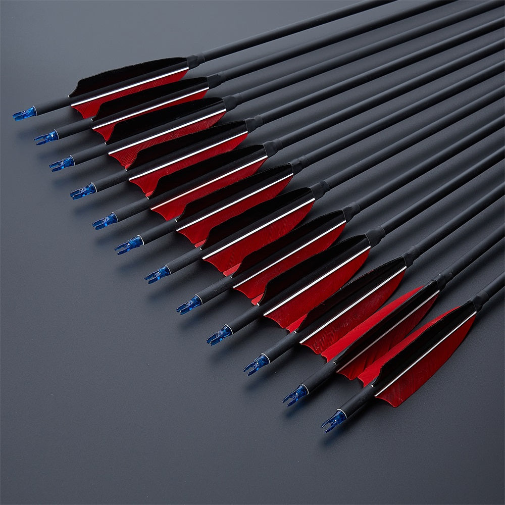 12x 31" Turkey Feather Mixed Carbon Arrows Natural 4" Shield Archery O ...