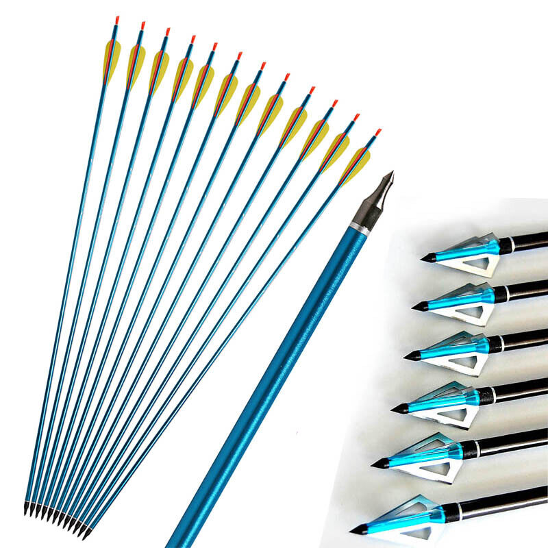 12x 31.5" Archery Aluminum Arrows 6x Hunting Broadheads for Compound R ...